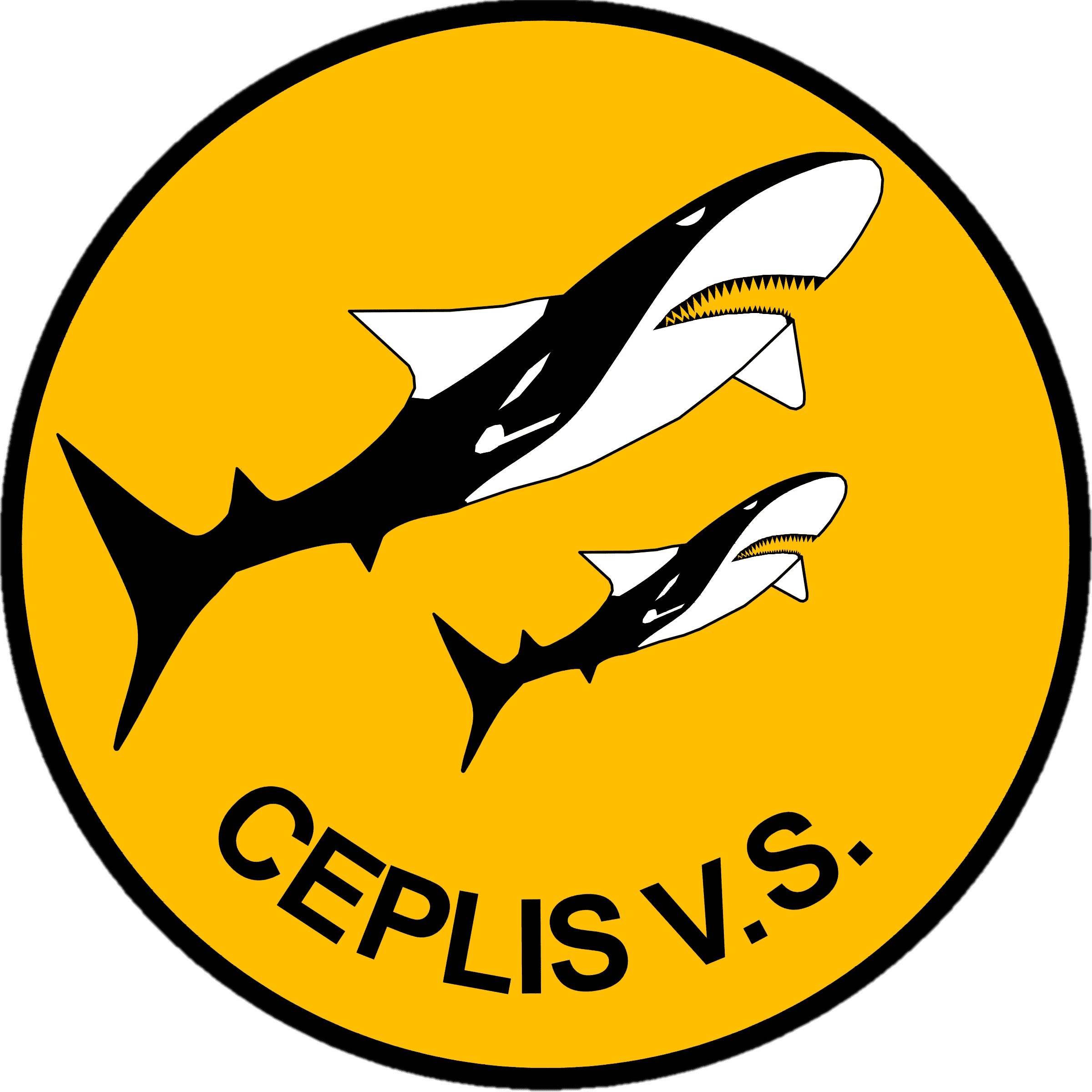 Čuguna krāsnis – ceplis.eu